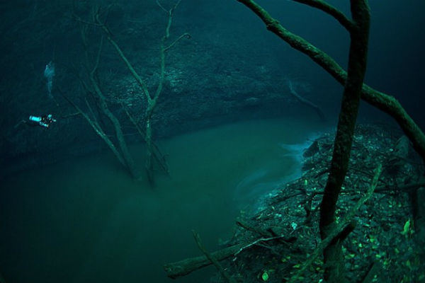 Here are our picks for the 20 amazing things discovered under water ...